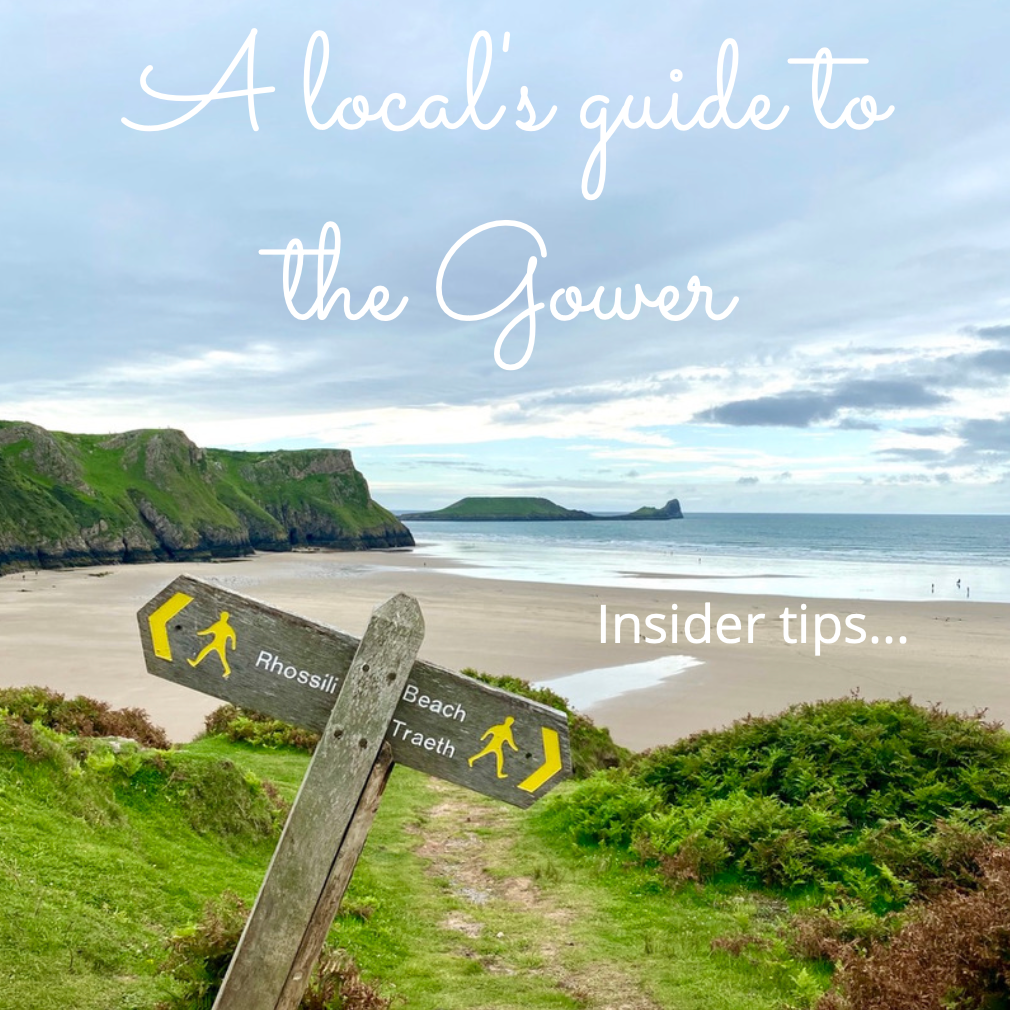 A LOCAL'S GUIDE TO THE GOWER– Welsh Otter