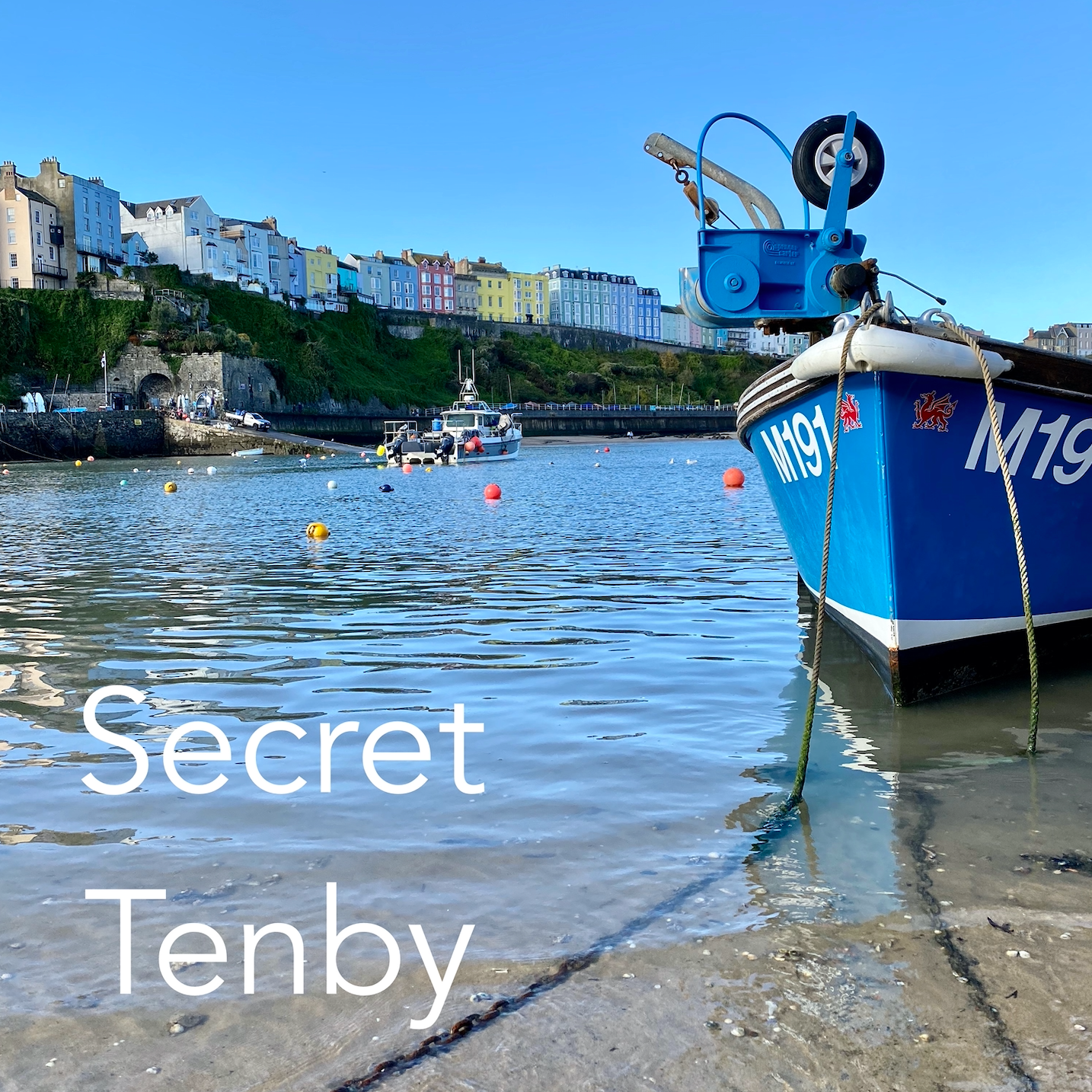 Secret Tenby - A local's Guide– Welsh Otter