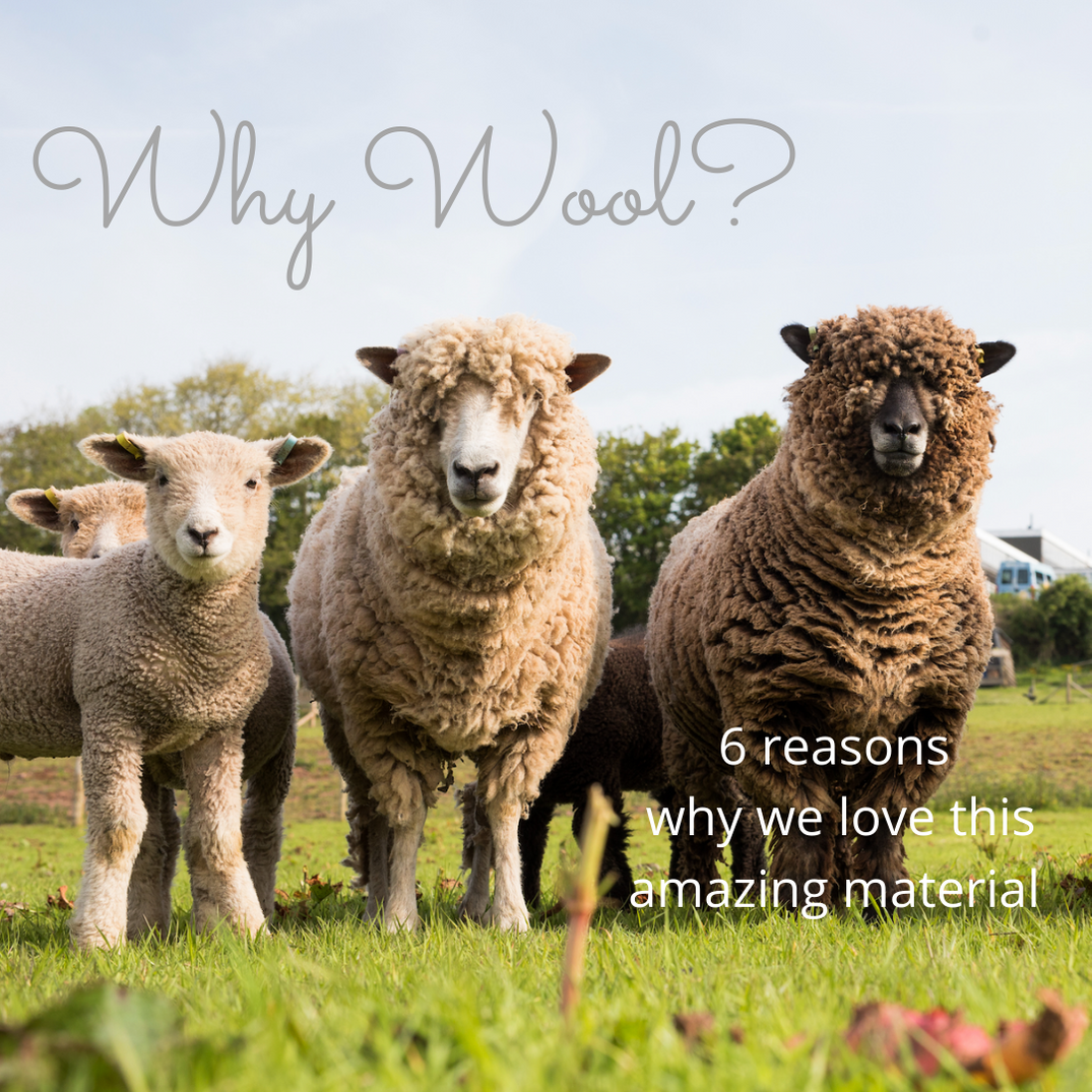 Why Wool? Six reasons why we love this amazing material– Welsh Otter