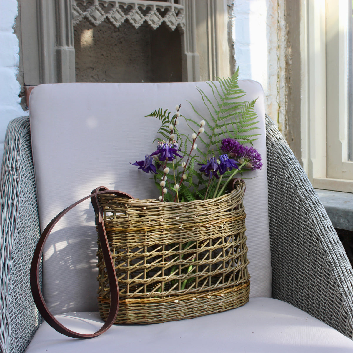 Willow– Welsh Otter